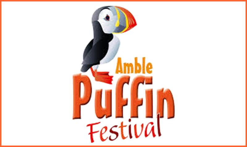 Amble Puffin Festival - Celebrating Everything Puffin - Amble Events ...