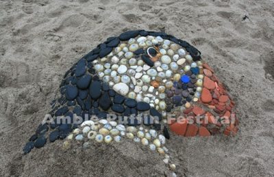 Amble Puffin Festival - Celebrating Everything Puffin - Amble Events ...